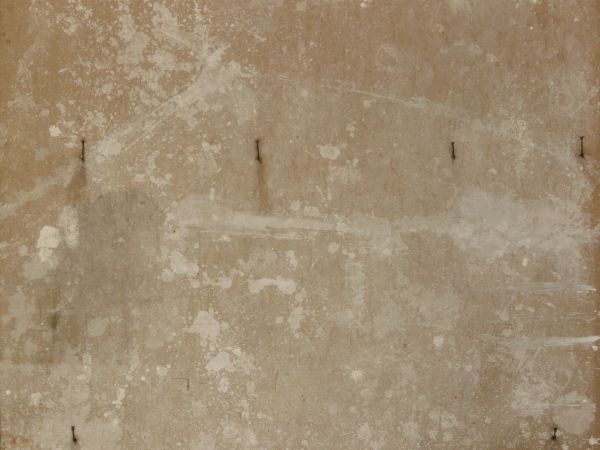 white plywood texture 0006 - Texturelib